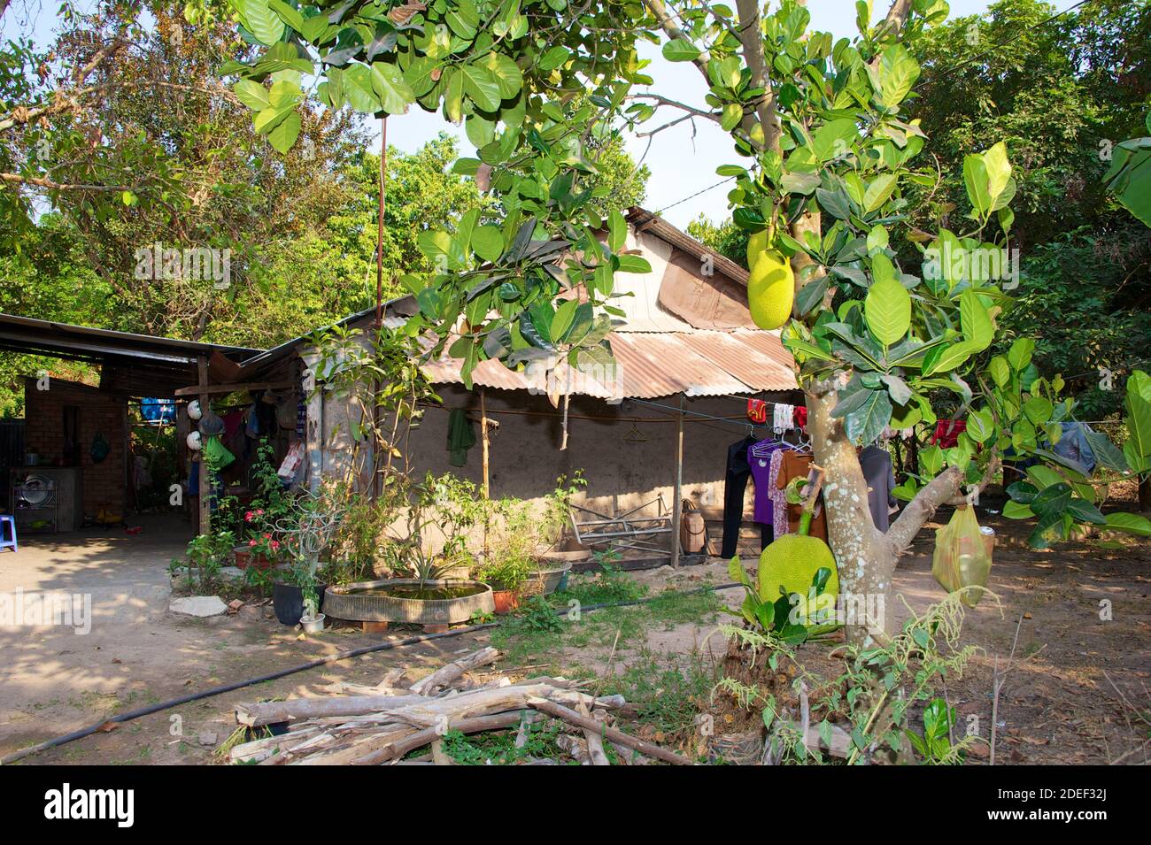 Le Tran, Vietnam. 14th Mar, 2016. A hut from a Vietnamese family in ...