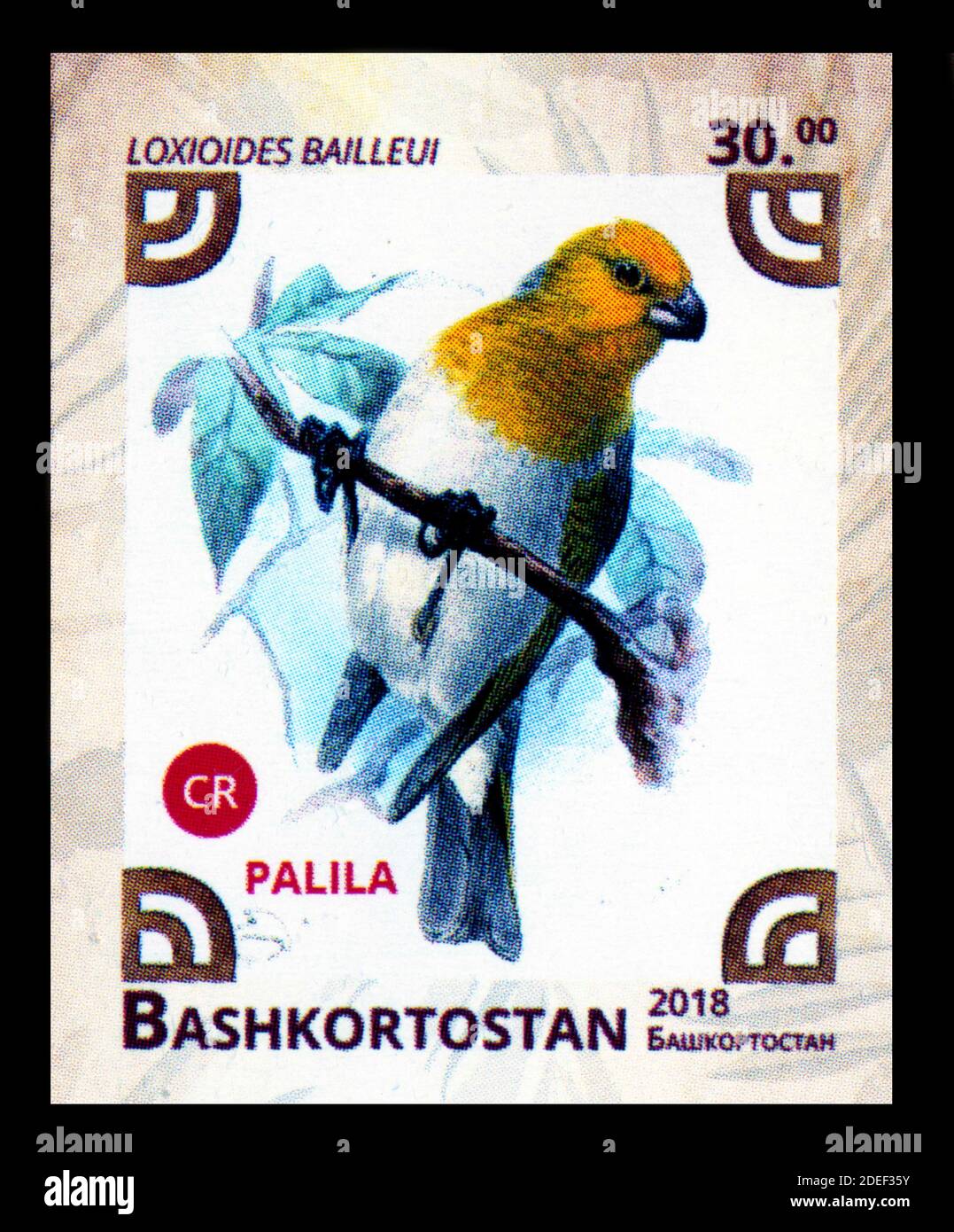 Palila art hi-res stock photography and images - Alamy