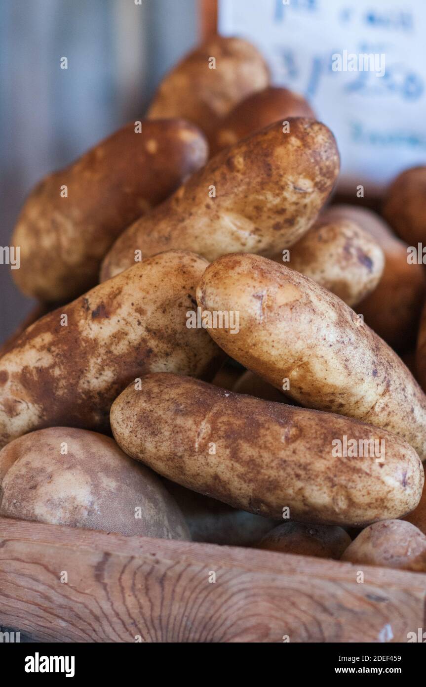 A pile of raw, Ruset potatoes for sale at a Farmer's Market. Close-up ...