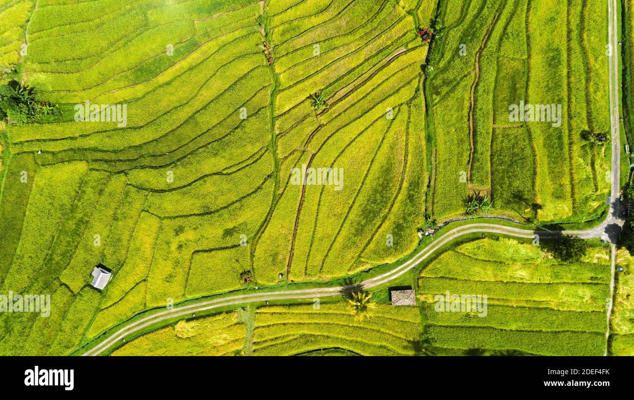 Rice terrace aerial hi-res stock photography and images - Alamy