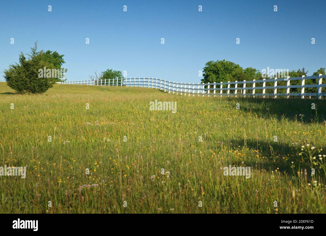 Field with Fence Stock Photo - Alamy