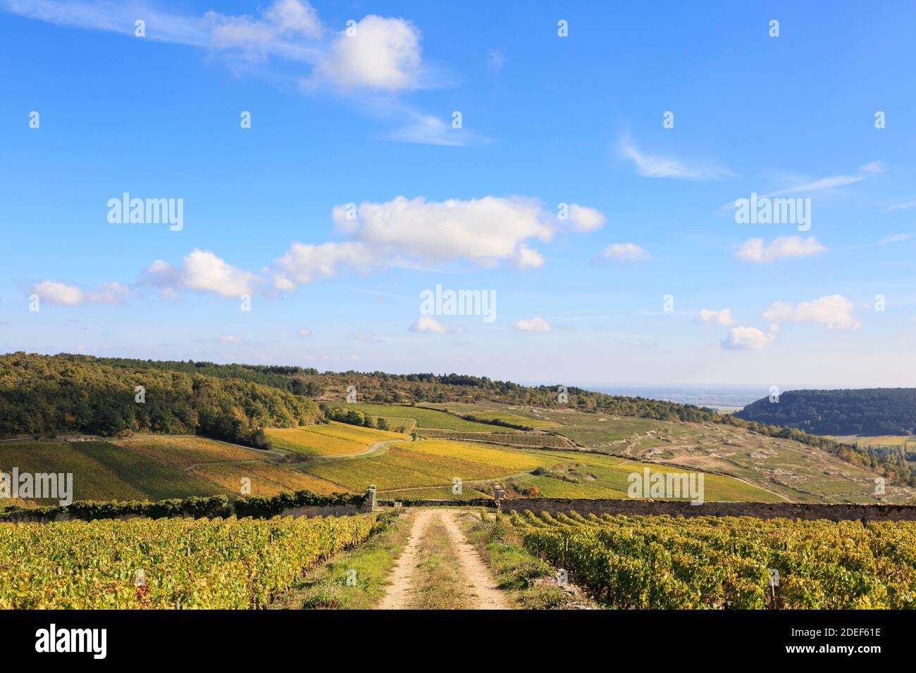 Saint-Romain, small village outside of Beaune, Burgundy, France Stock ...
