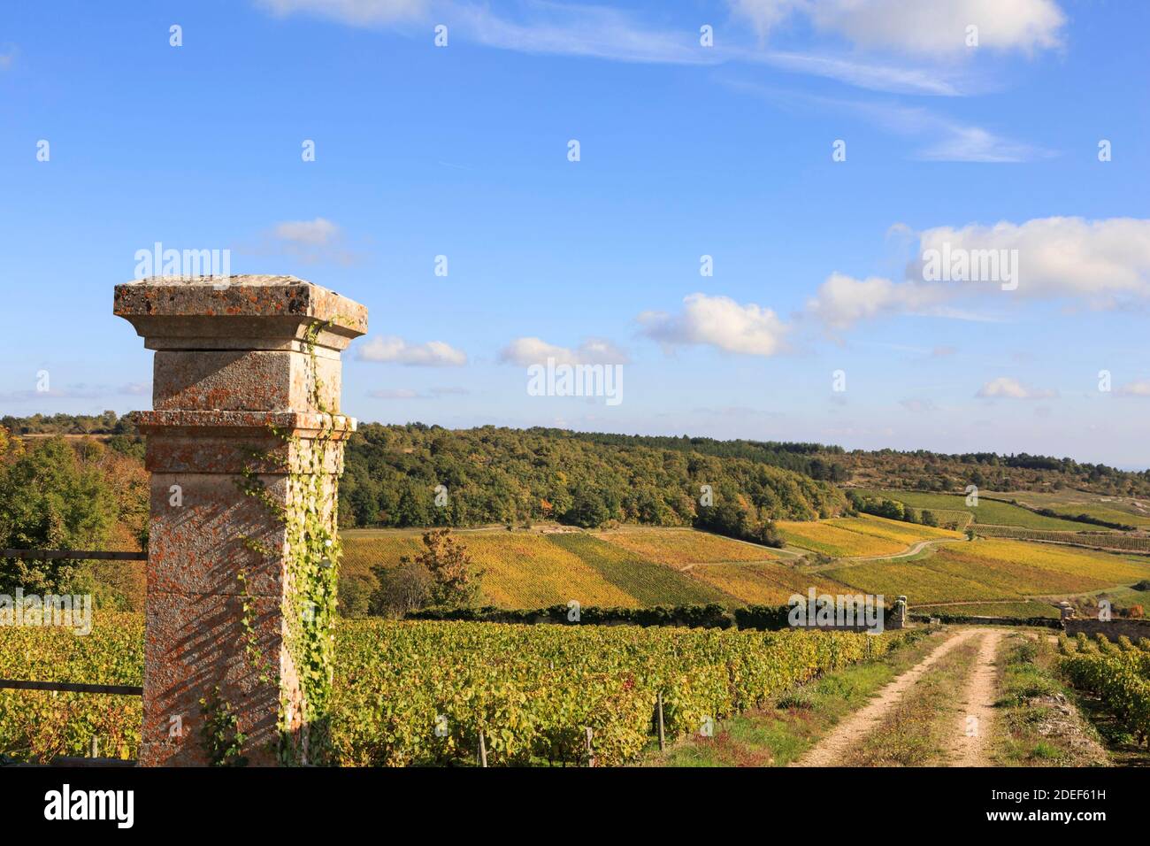 Saint-Romain, small village outside of Beaune, Burgundy, France Stock ...