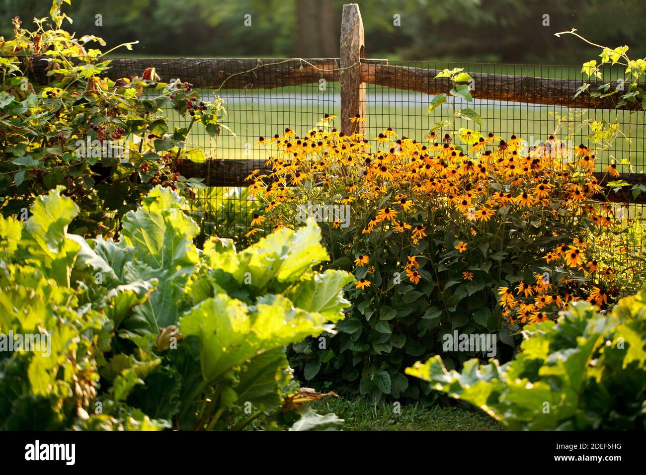 Corner fence hi-res stock photography and images - Alamy