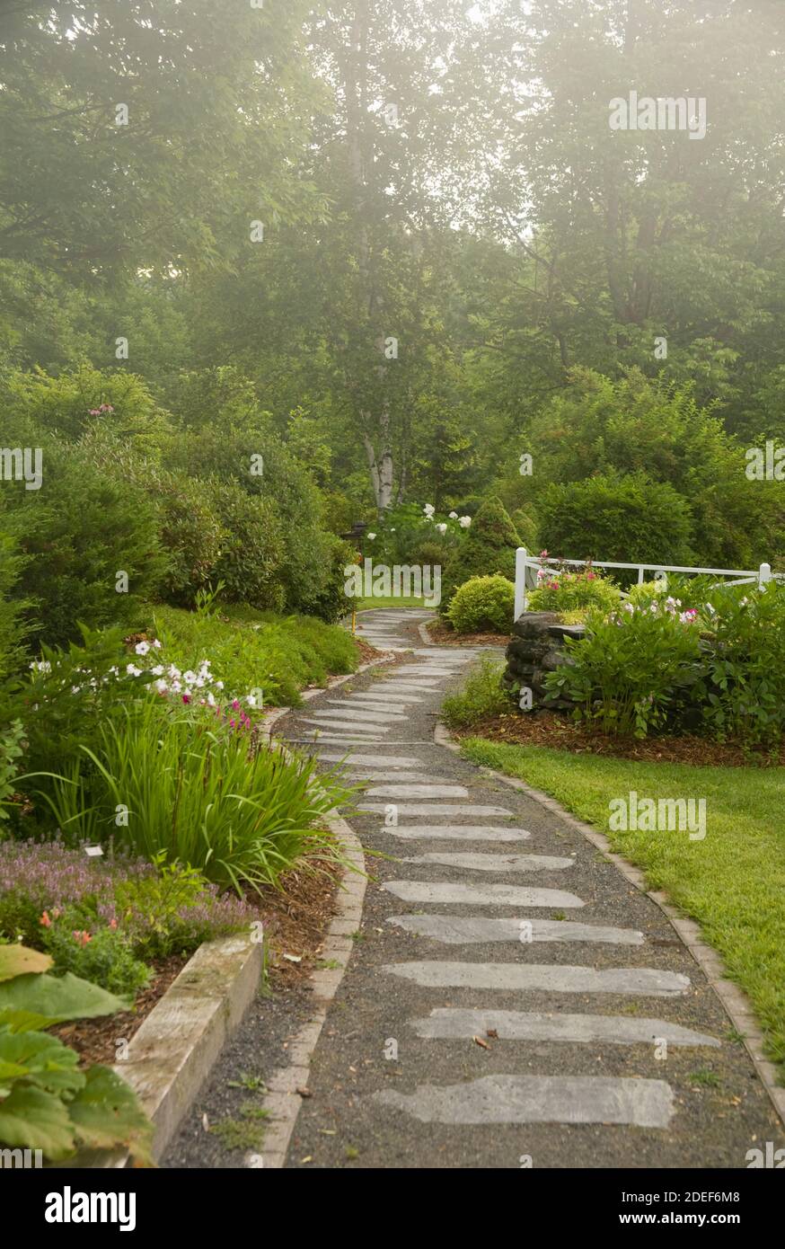 Back of the flower border hi-res stock photography and images - Alamy