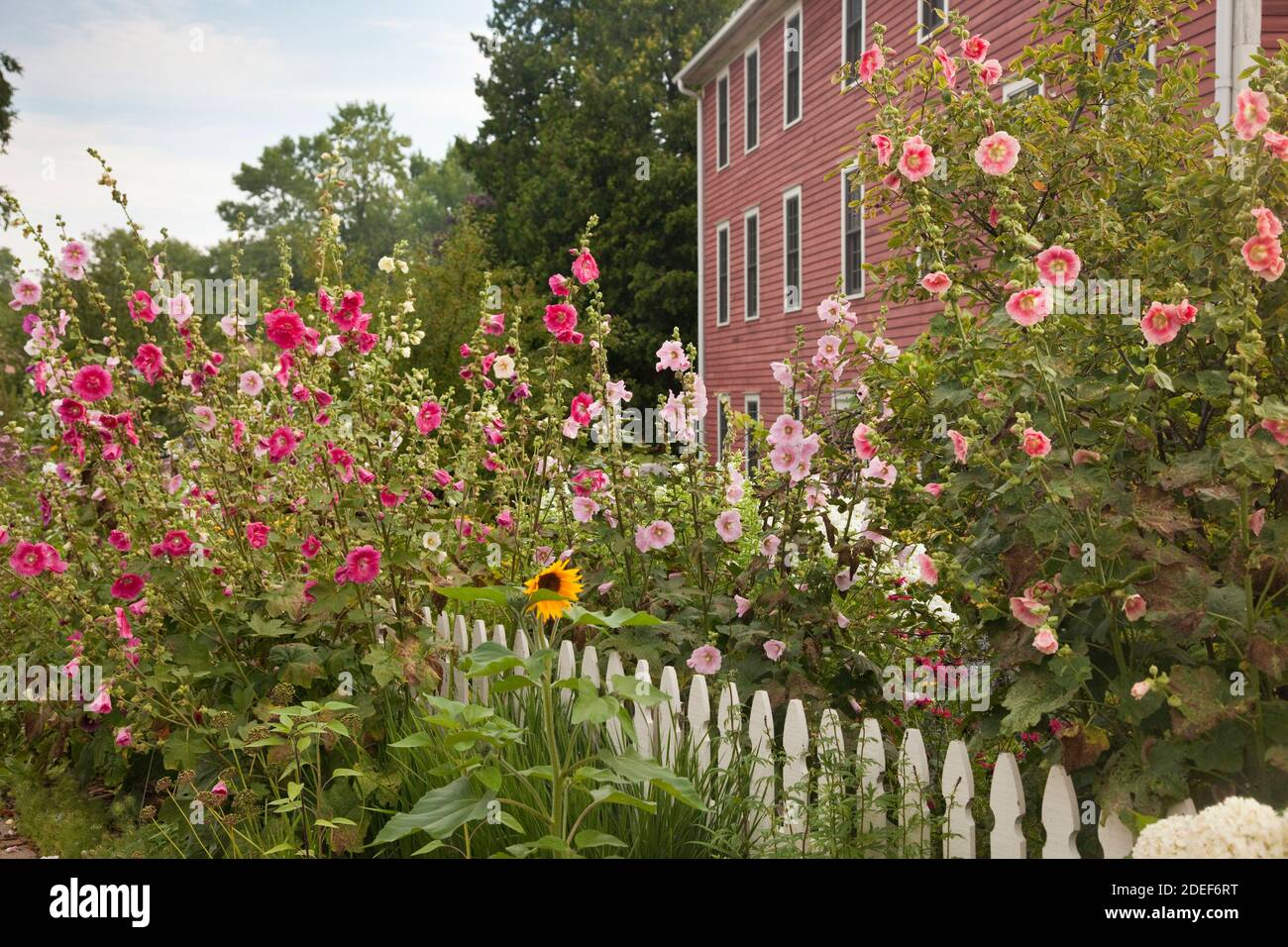 Pink house in wisconsin hi-res stock photography and images - Alamy
