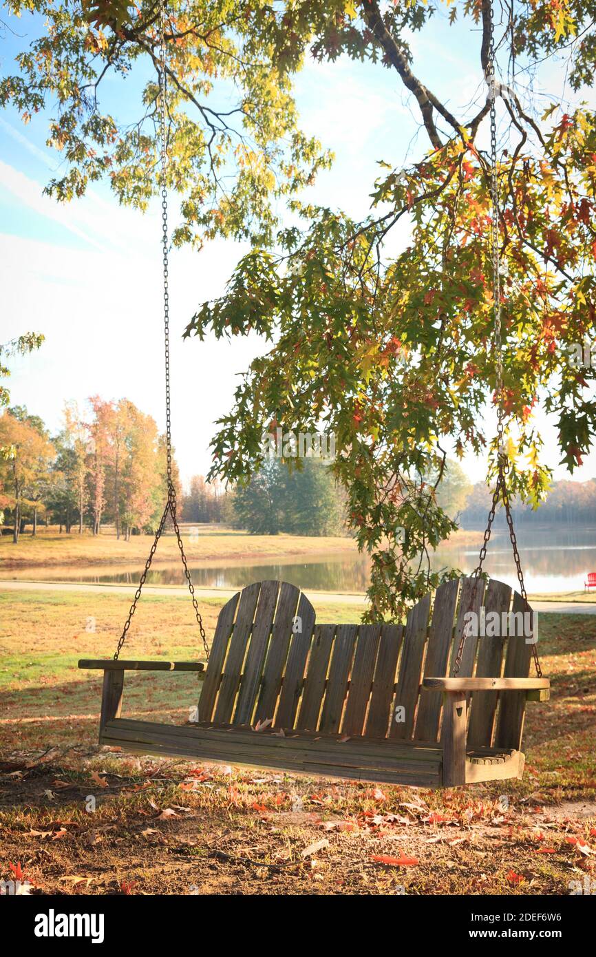 Tree porch swing Stock Photo - Alamy