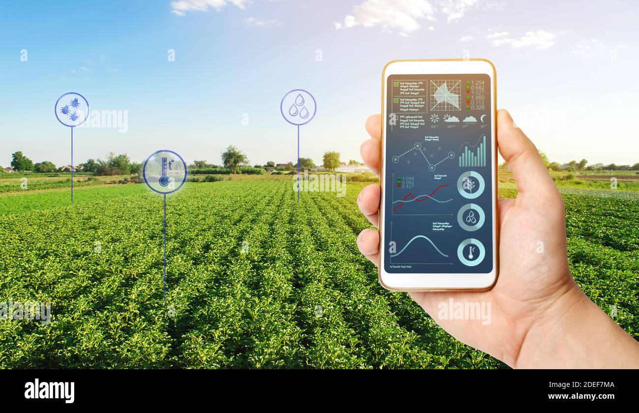 The farmer holds a phone and receives information parameters and data ...