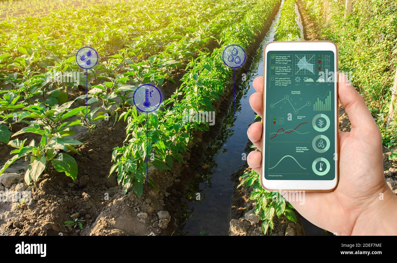 The farmer holds a phone and receives information parameters and data ...
