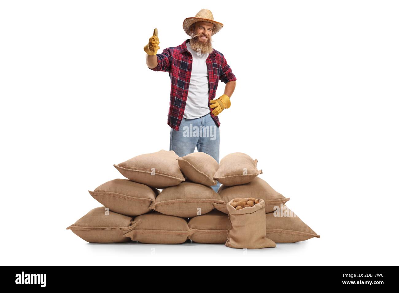 Sack Of Potatoes Costume