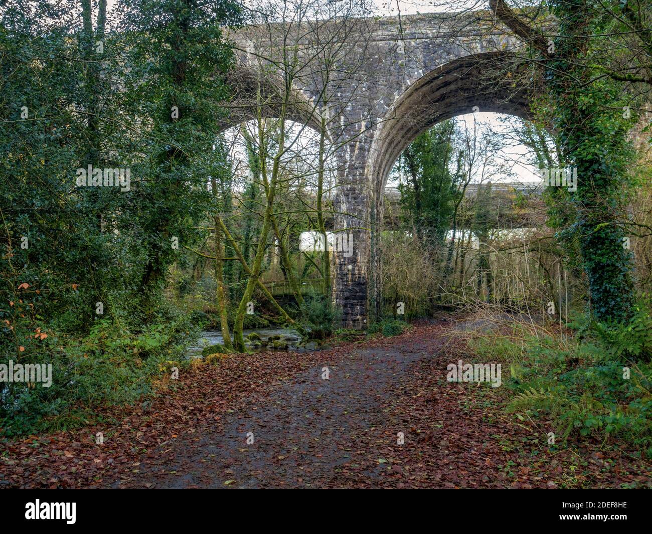 Devon structure hi-res stock photography and images - Alamy