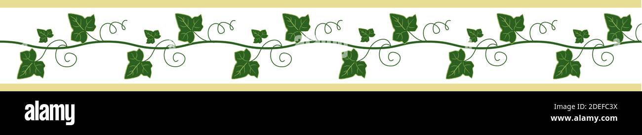 Elegant seamless border, ivy ribbon for decor. Floral frame. Vector ...