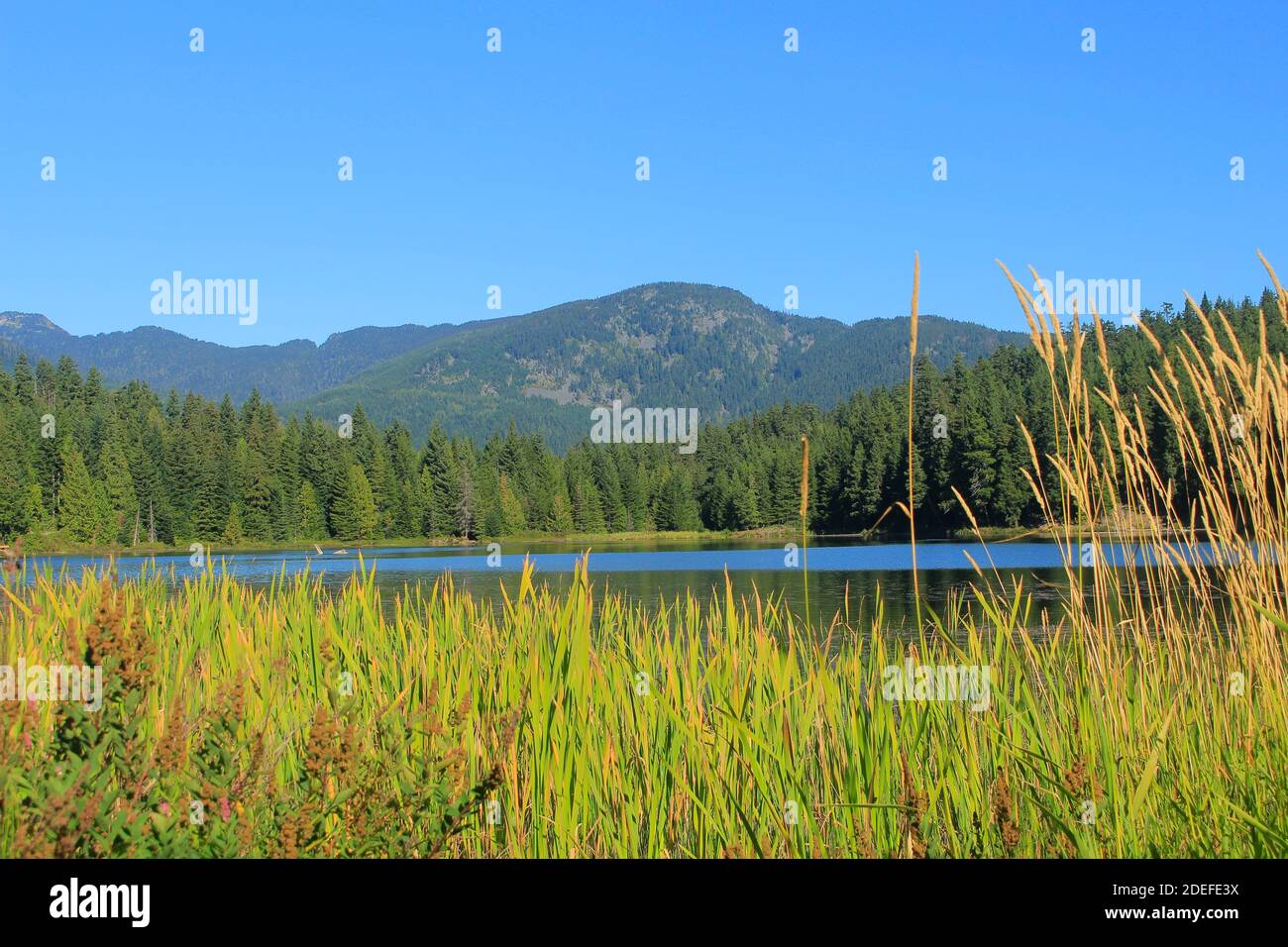 What a nice place to relax Stock Photo - Alamy