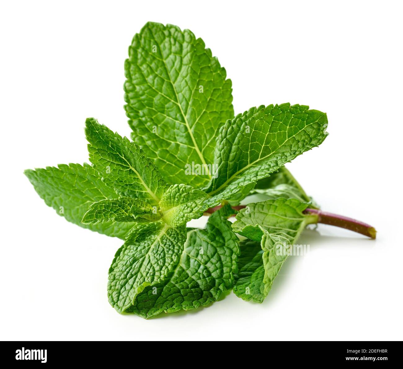 fresh green mint leaves isolated on white background Stock Photo - Alamy