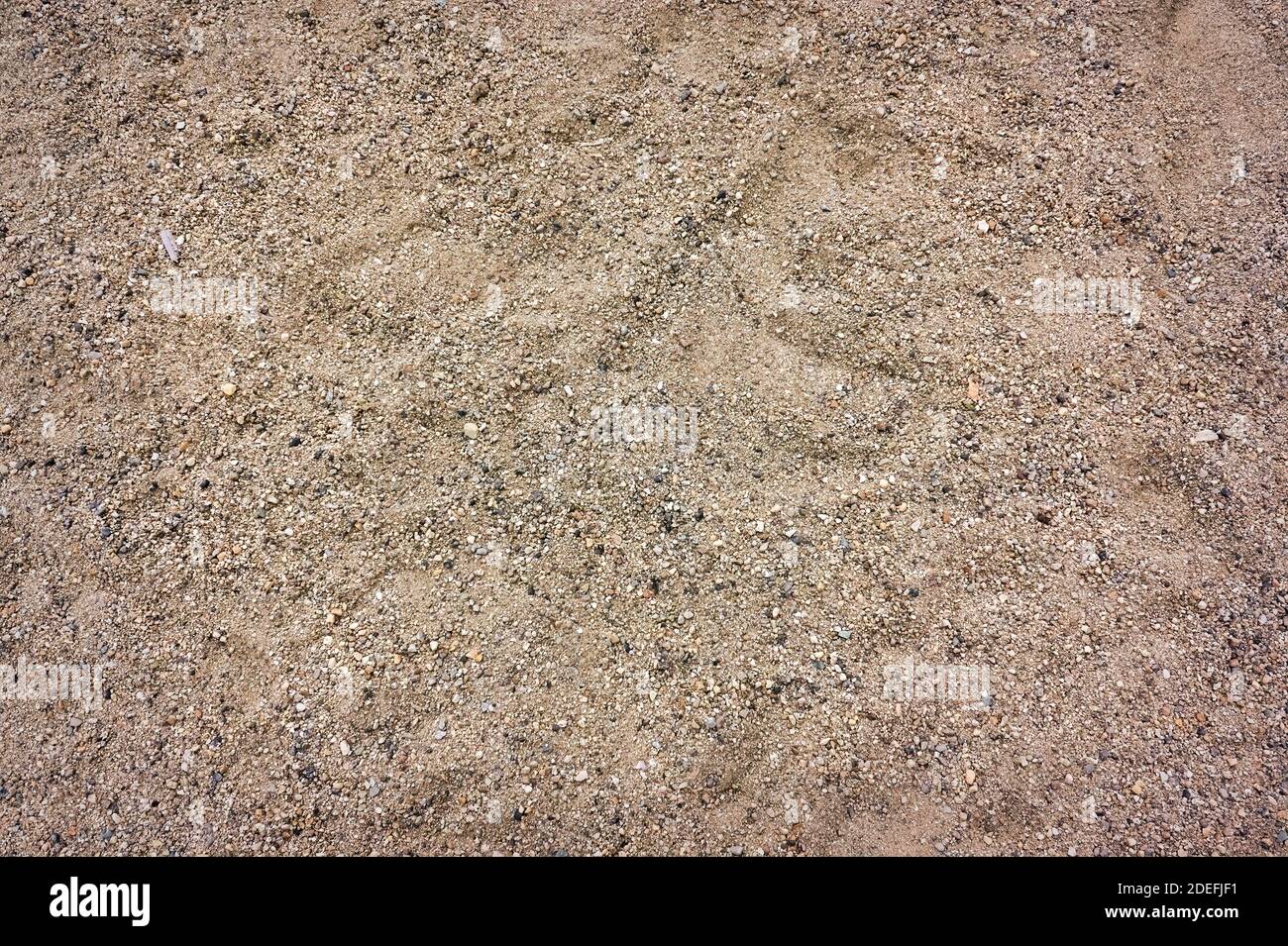 Sand background texture. Close-up of coarse sand grains. Sunlit sandy ...