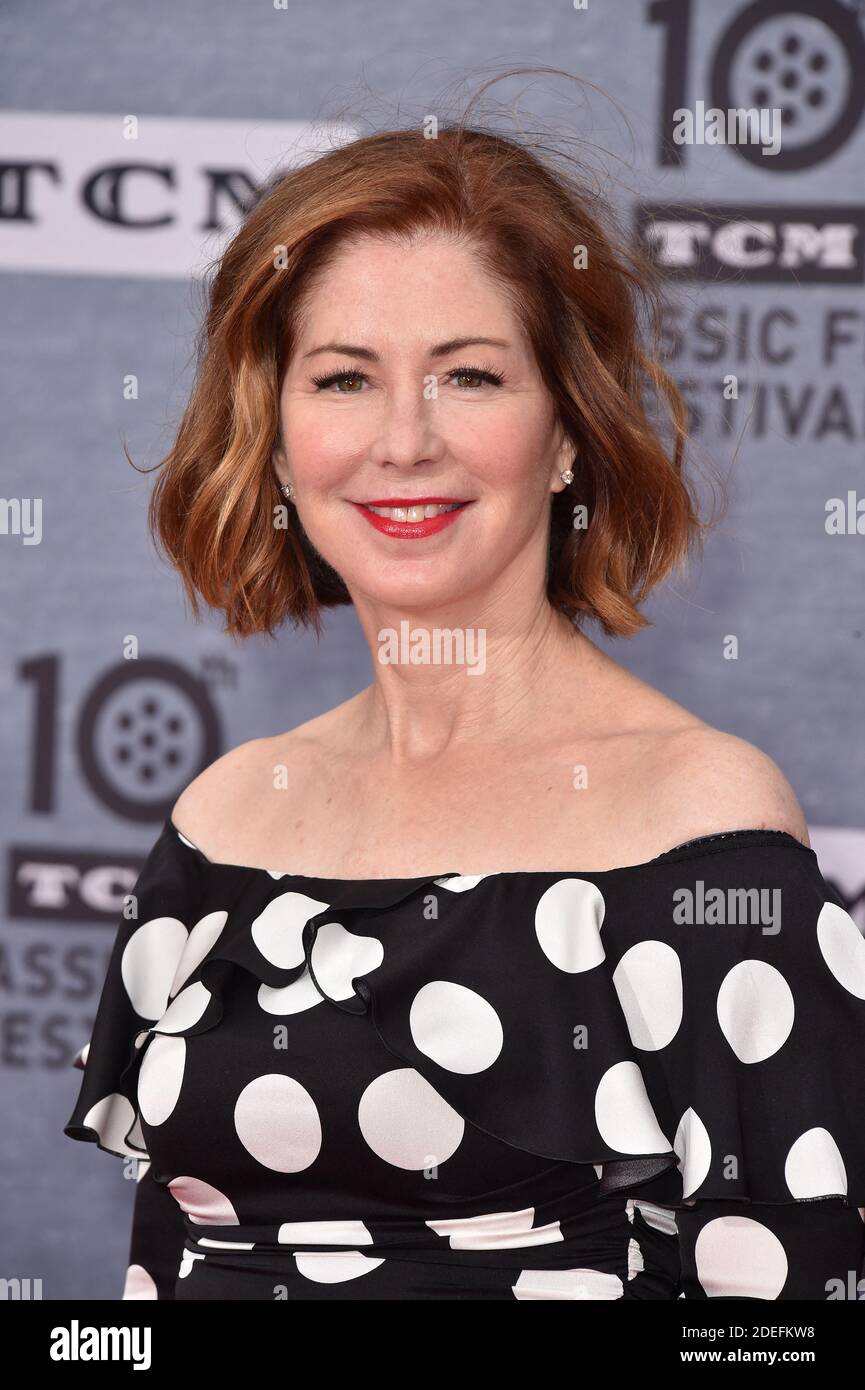 Dana Delany attends The 30th Anniversary Screening of 'When Harry Met ...