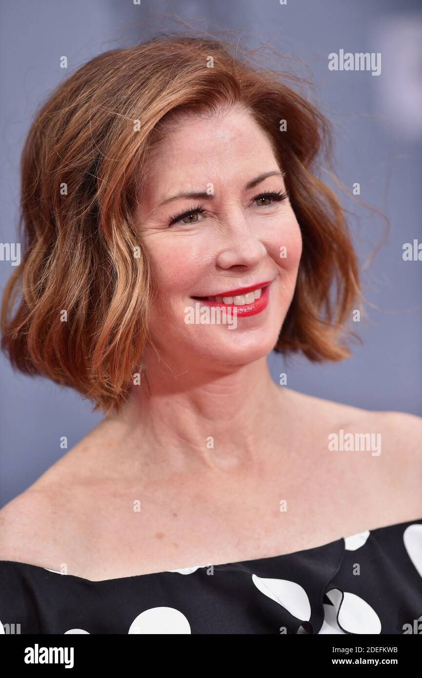 Dana Delany attends The 30th Anniversary Screening of 'When Harry Met ...