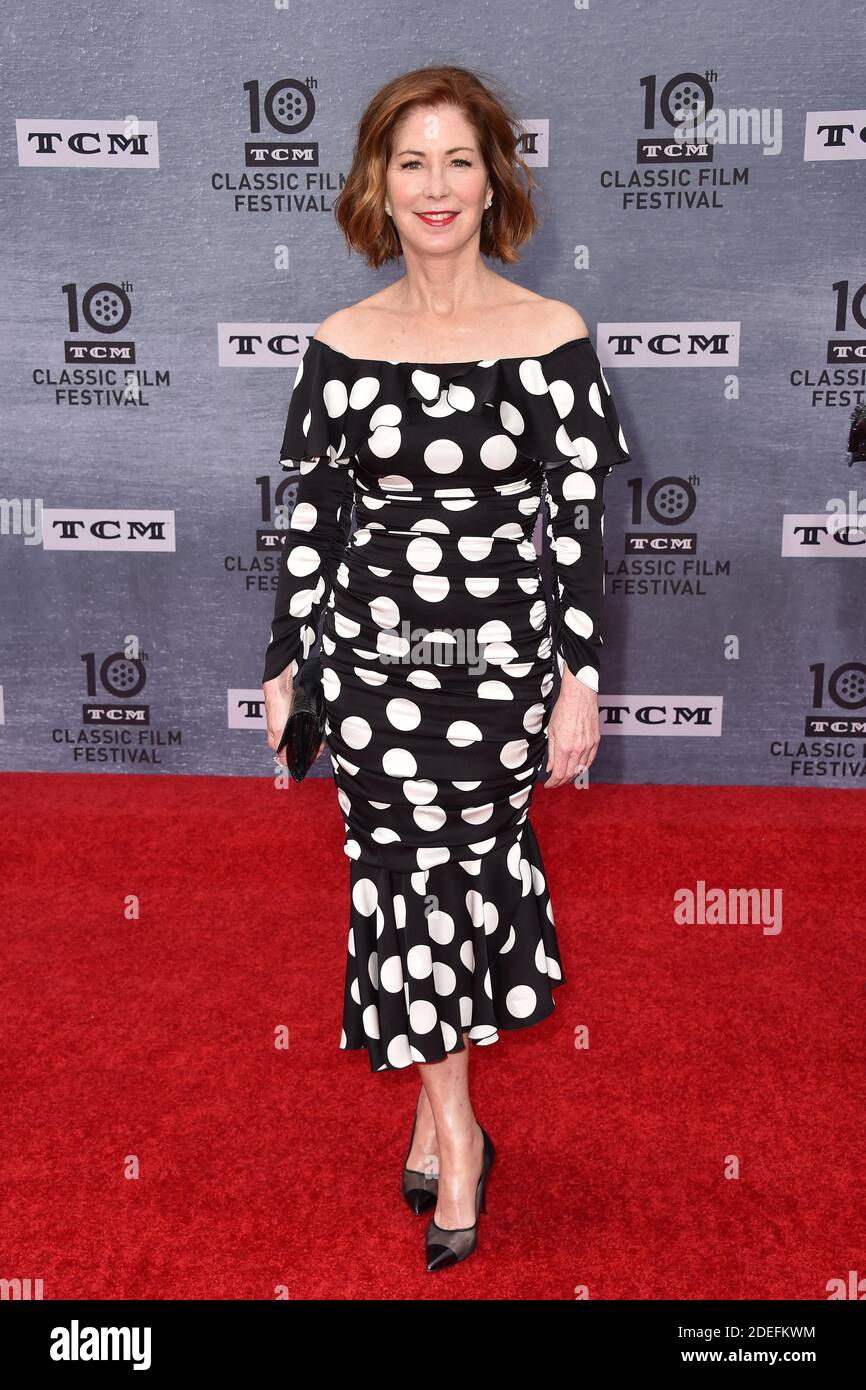 Dana Delany attends The 30th Anniversary Screening of 'When Harry Met ...