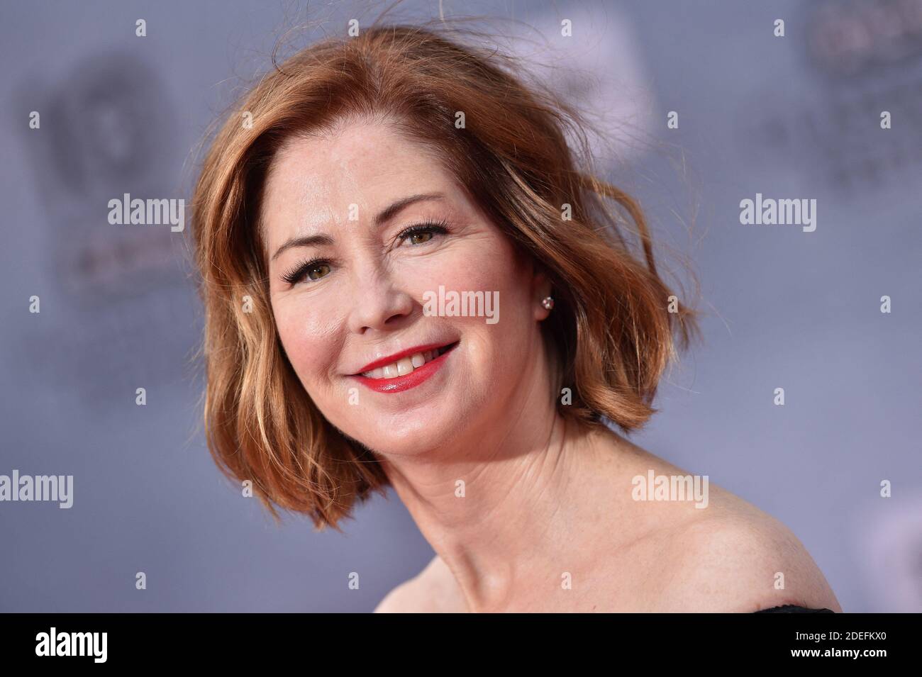Dana Delany attends The 30th Anniversary Screening of 'When Harry Met ...