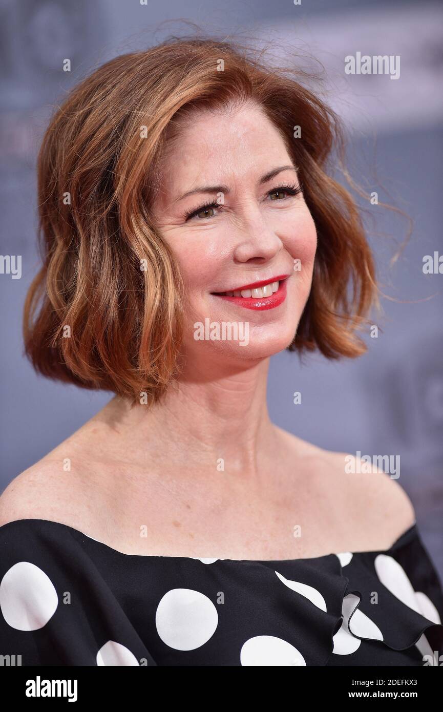 Dana Delany attends The 30th Anniversary Screening of 'When Harry Met ...