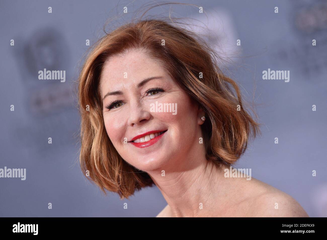 Dana Delany attends The 30th Anniversary Screening of 'When Harry Met ...