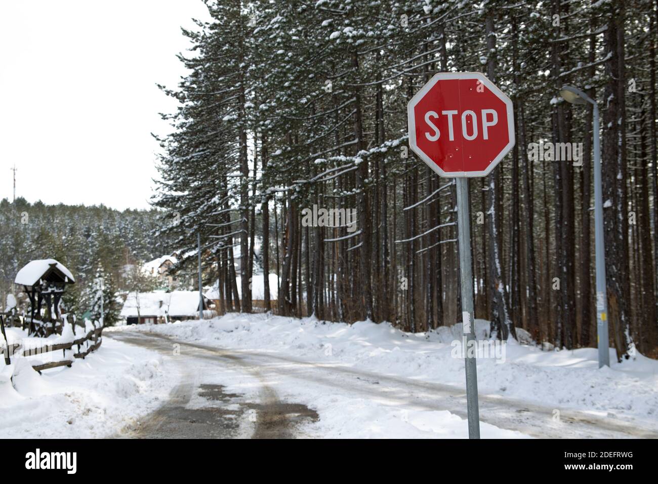 Horizontal image of the stop sign at the crossroads in the forest ...