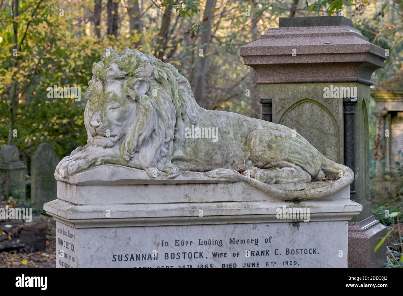 abney park cemetery bostock lion Stock Photo - Alamy