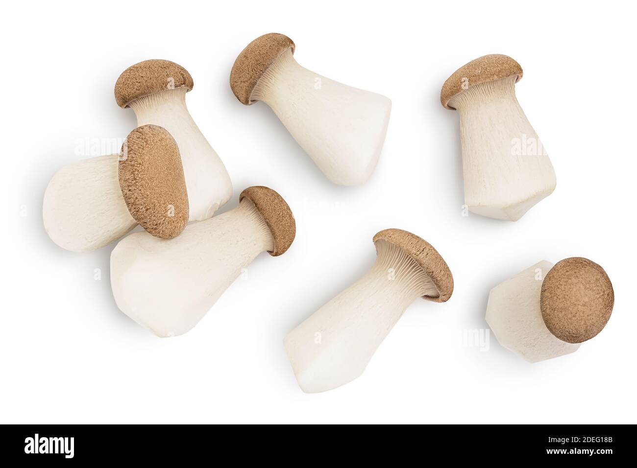 King Oyster mushroom or Eringi isolated on white background with ...