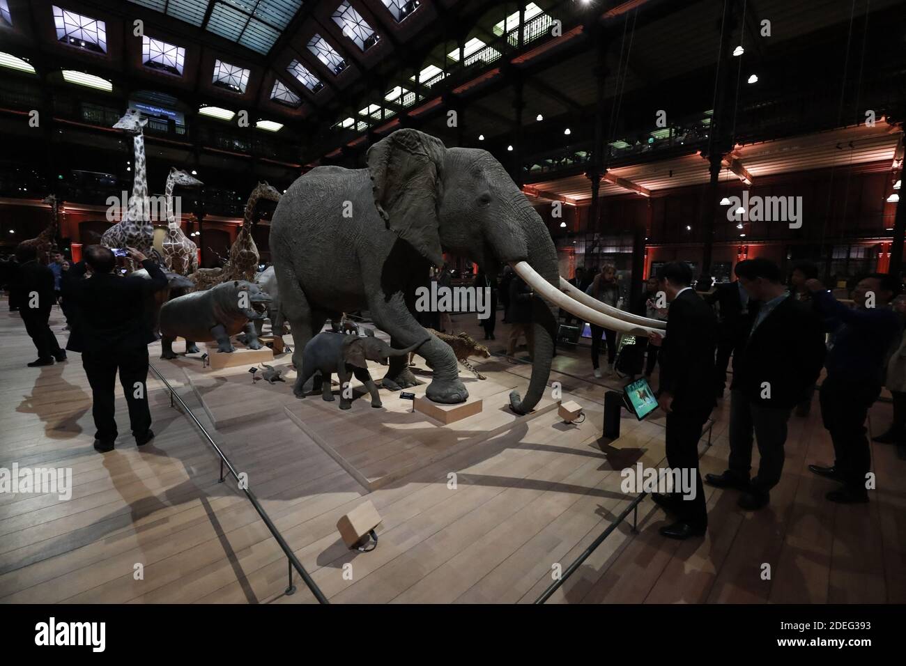 Illustration of Galerie de l'Evolution, Paris, France on April 29, 2019 ...
