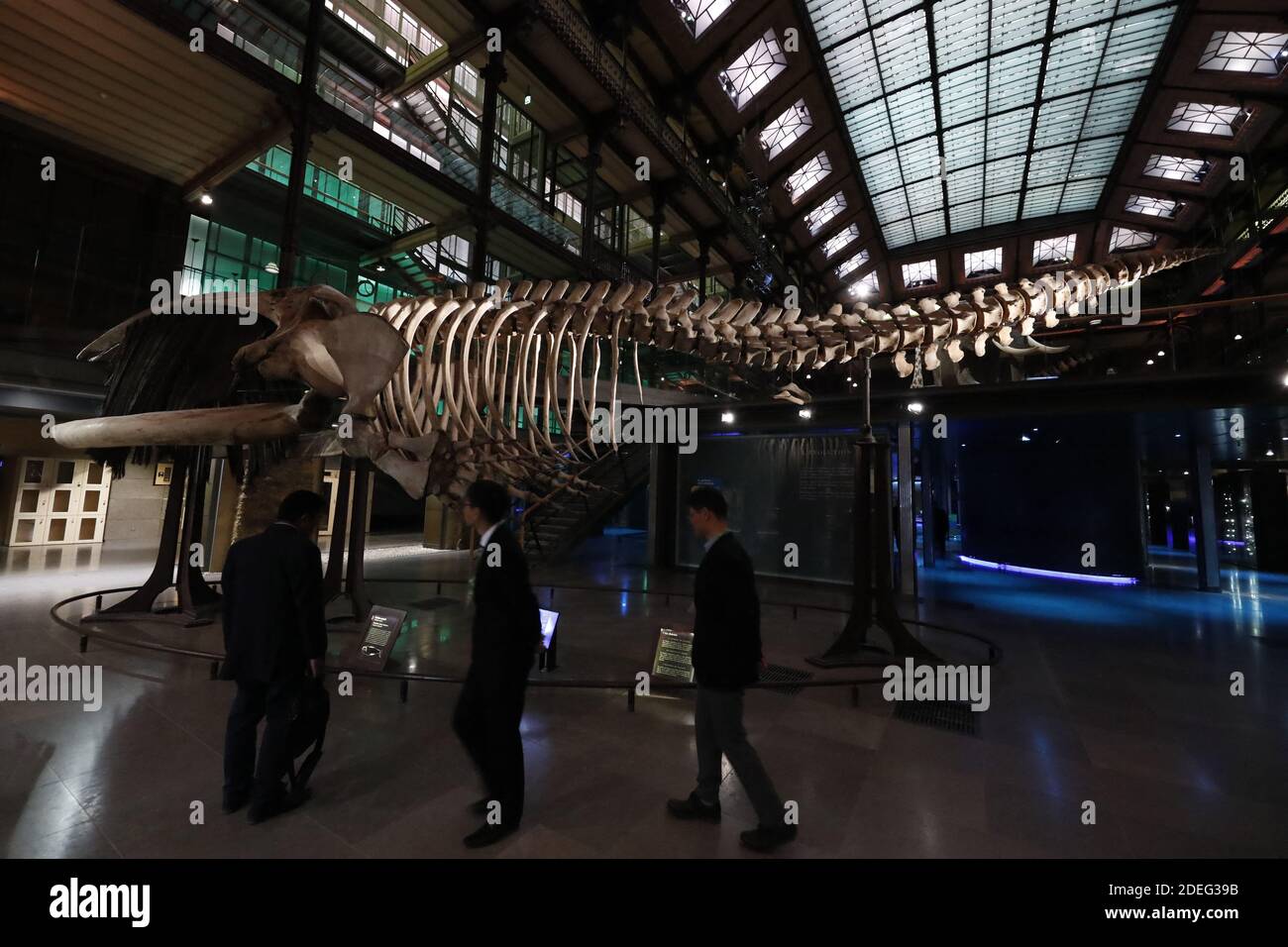 Illustration of Galerie de l'Evolution, Paris, France on April 29, 2019 ...