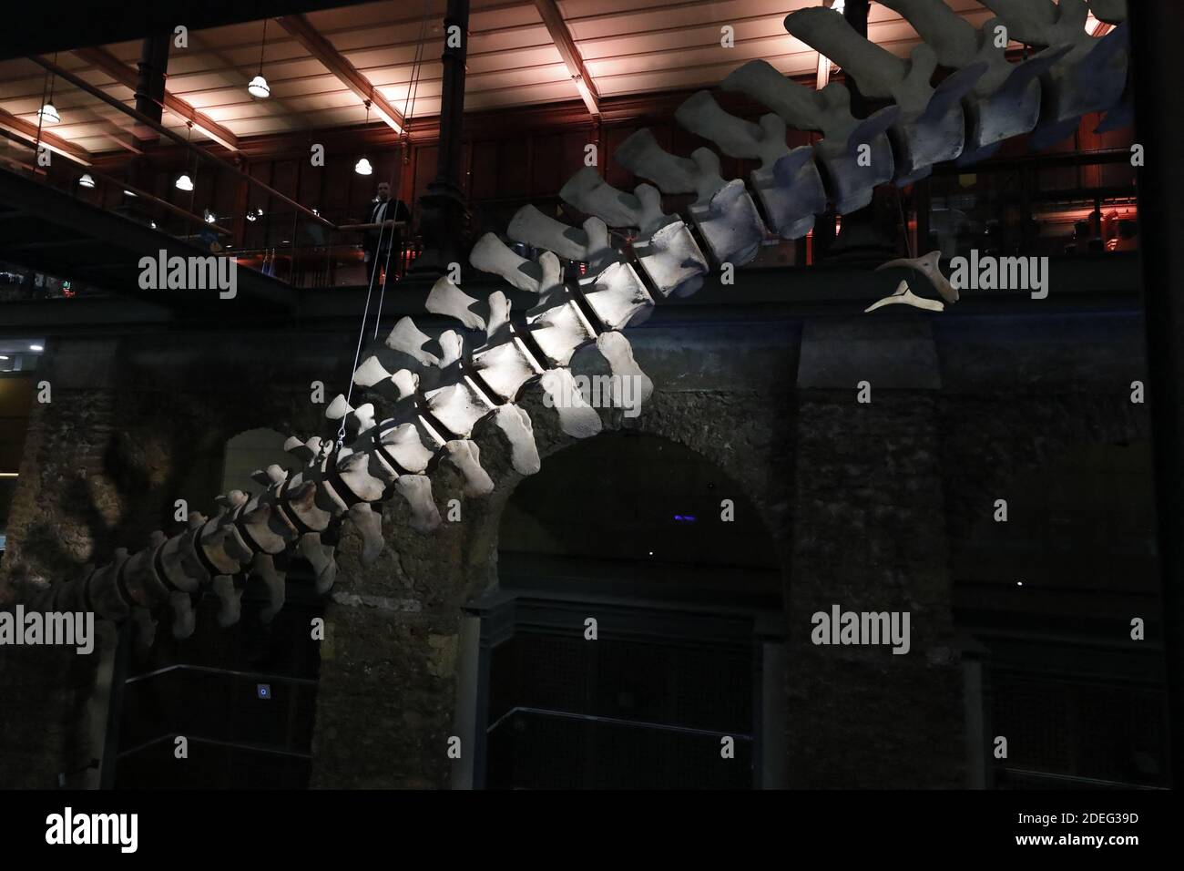 Illustration of Galerie de l'Evolution, Paris, France on April 29, 2019 ...