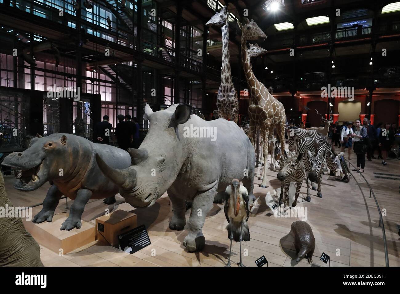 Illustration of Galerie de l'Evolution, Paris, France on April 29, 2019 ...