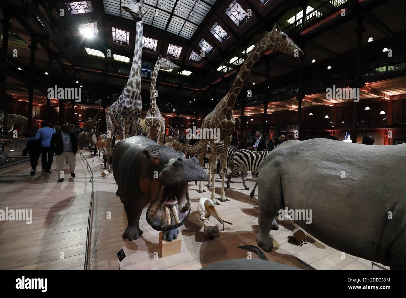 Illustration of Galerie de l'Evolution, Paris, France on April 29, 2019 ...