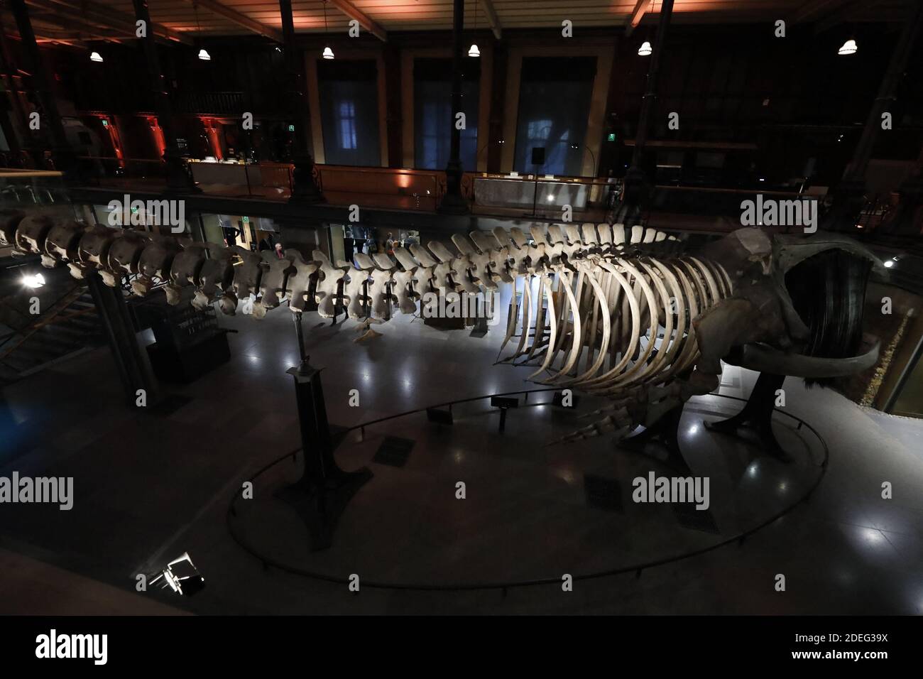 Illustration of Galerie de l'Evolution, Paris, France on April 29, 2019 ...