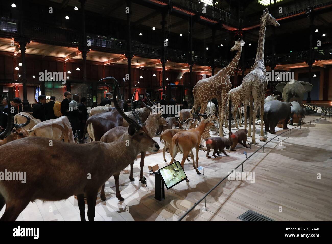 Illustration of Galerie de l'Evolution, Paris, France on April 29, 2019 ...