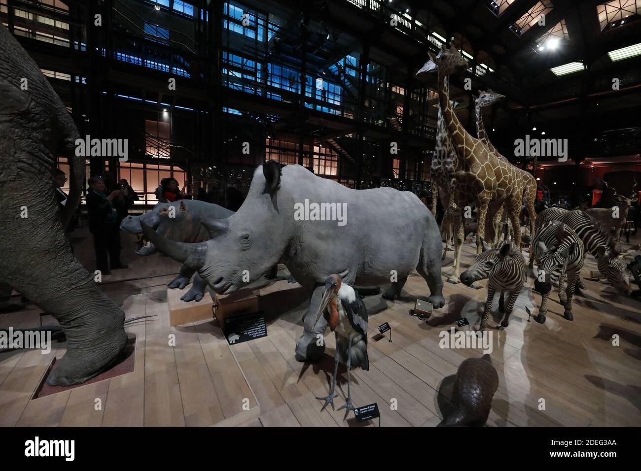 Illustration of Galerie de l'Evolution, Paris, France on April 29, 2019 ...