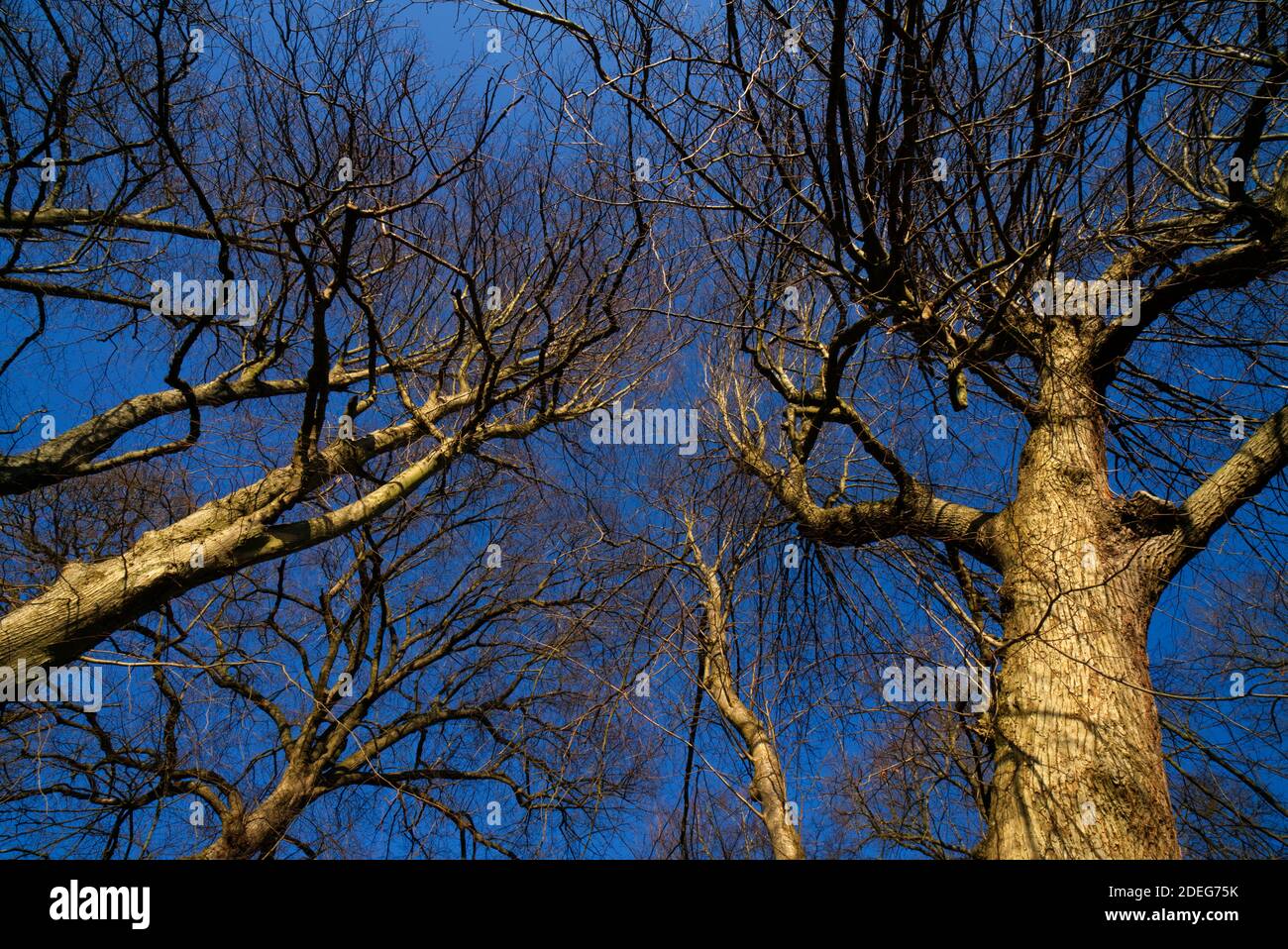 Callendar house falkirk hi-res stock photography and images - Alamy