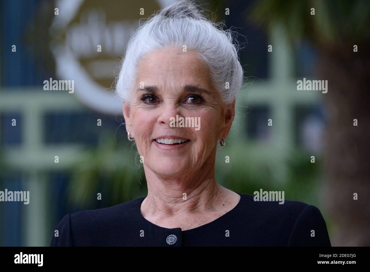 Ali Macgraw Gray Hair