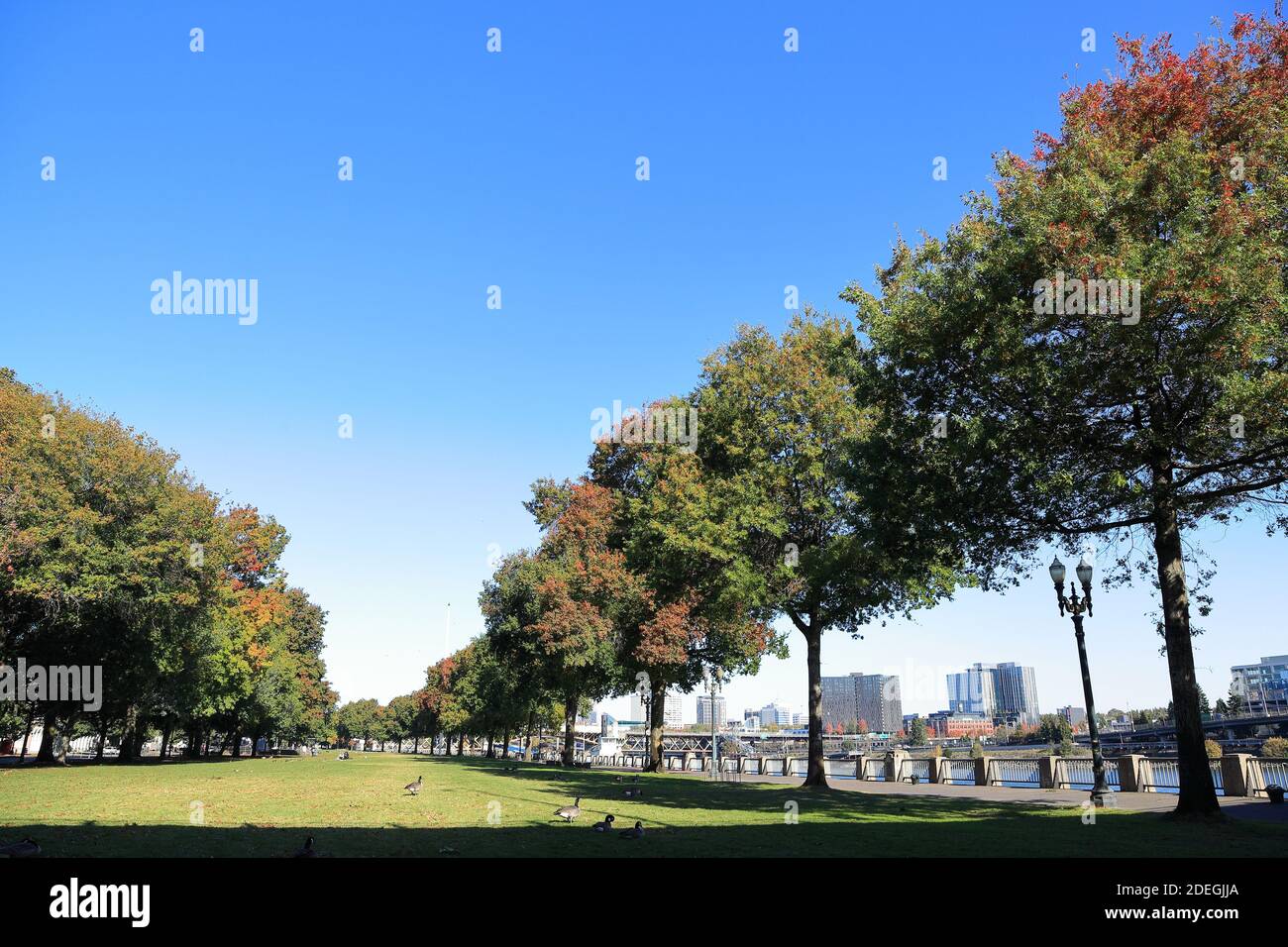 Portland, Oregon : Tom McCall Waterfront Park Stock Photo - Alamy