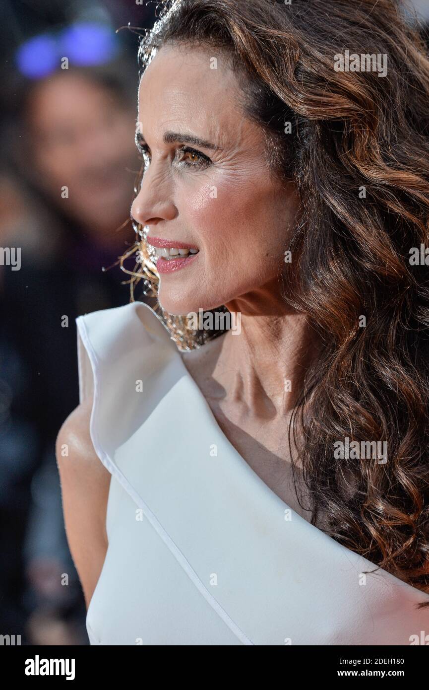 Andy MacDowell attending the premiere of Les Plus Belles Annees D Une ...
