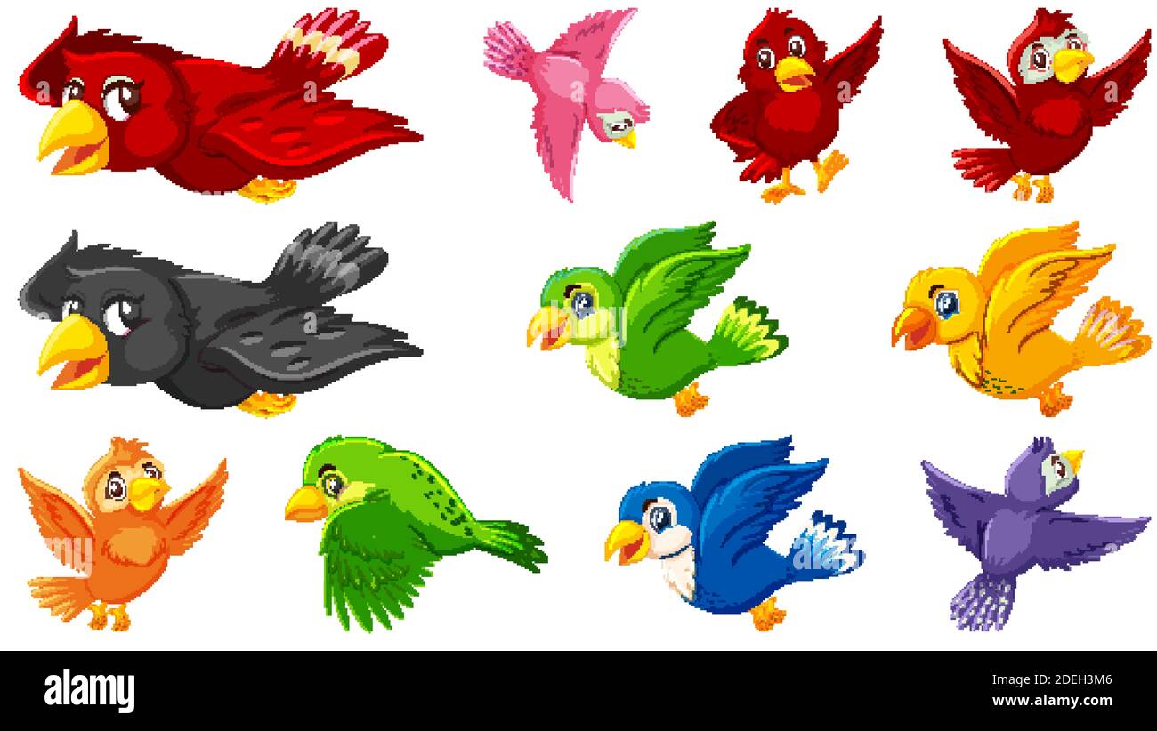 Set of bird cartoon character illustration Stock Vector Image & Art - Alamy