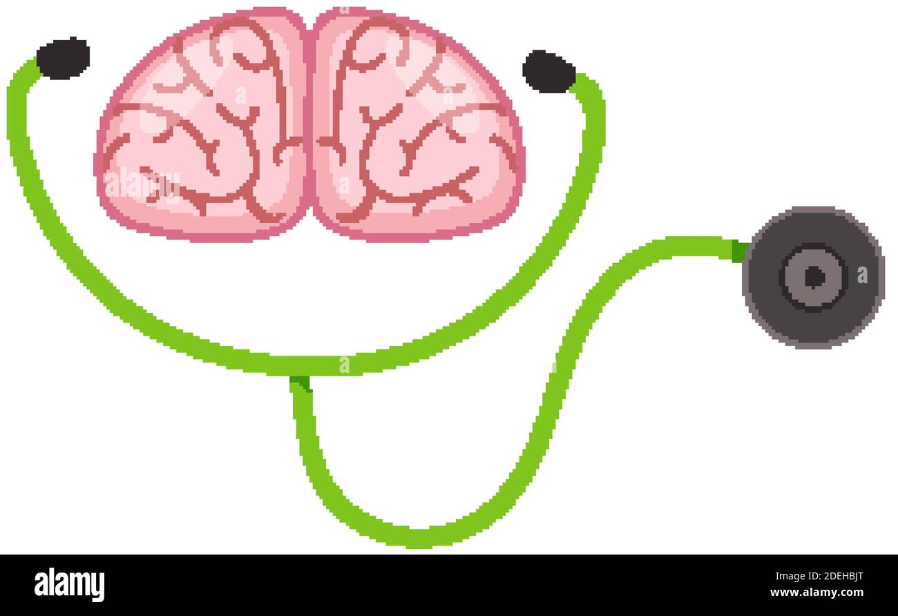 Stethoscope and human brain on white background illustration Stock ...