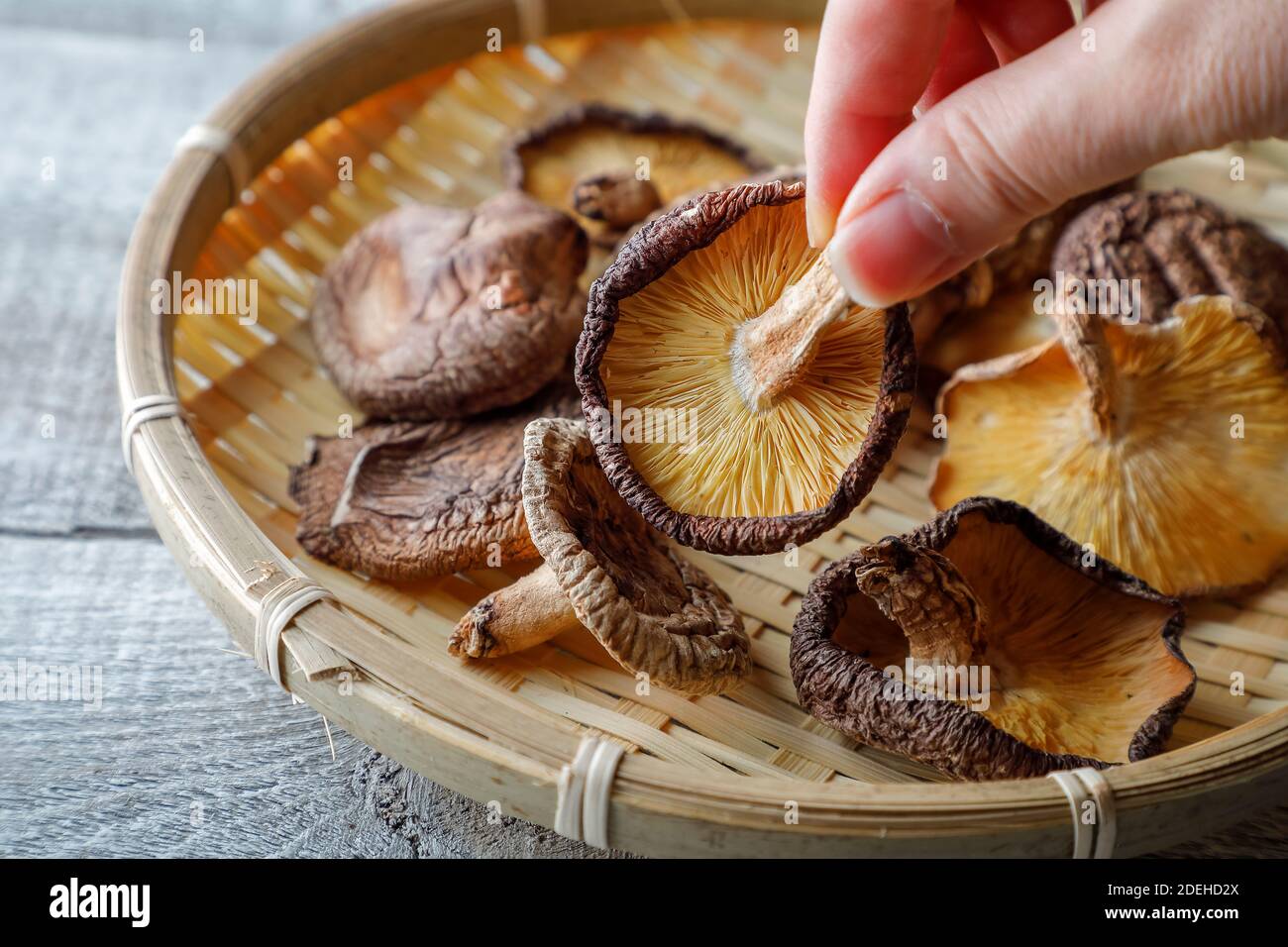 Dried Shiitake Mushrooms Stock Photo - Alamy