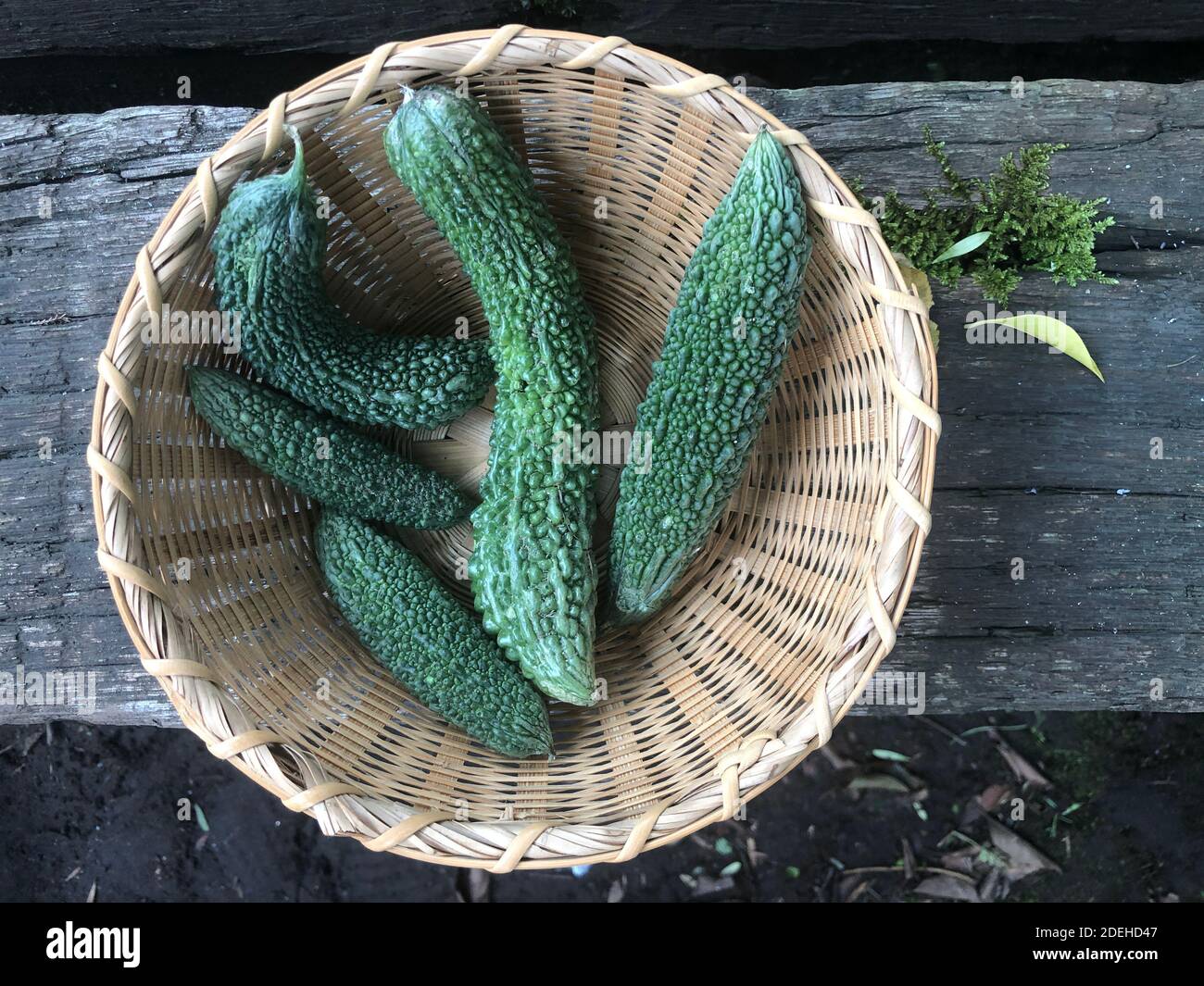 Goya (Bitter Melon Stock Photo - Alamy