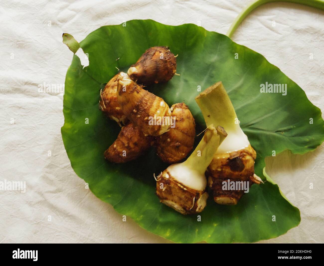 Satoimo (Japanese taro Stock Photo - Alamy