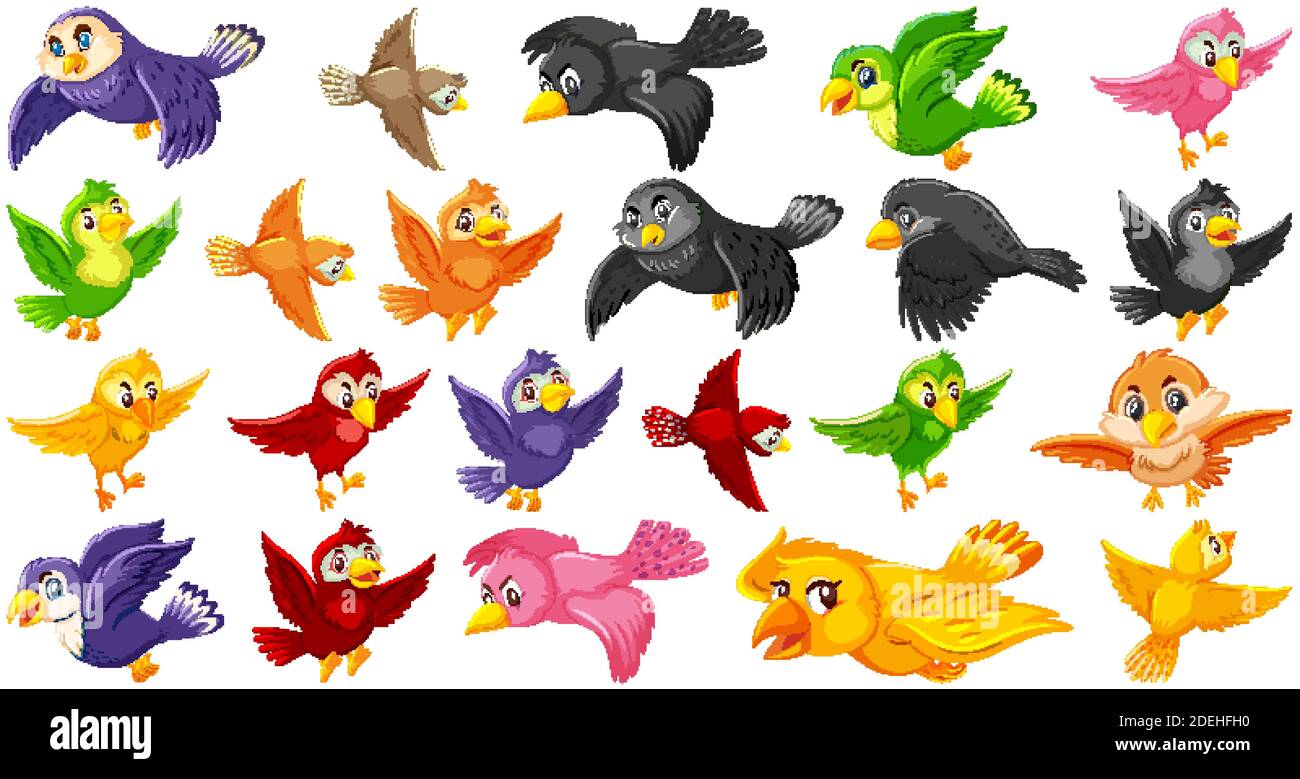 Set of bird cartoon character illustration Stock Vector Image & Art - Alamy