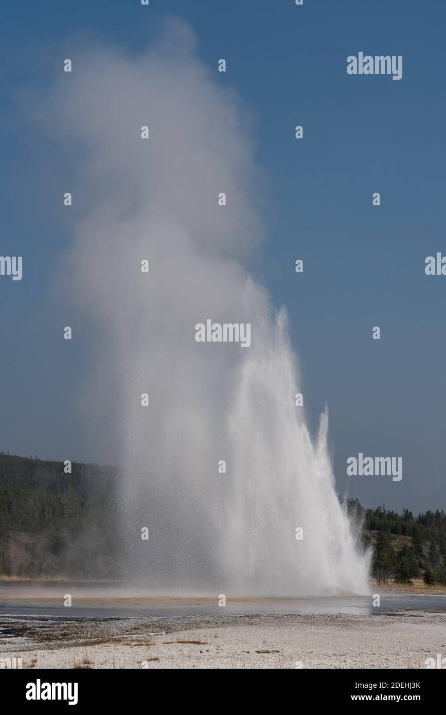 Daisy Geyser erupting in the Upper Geyser Basin in Yellowstone National ...
