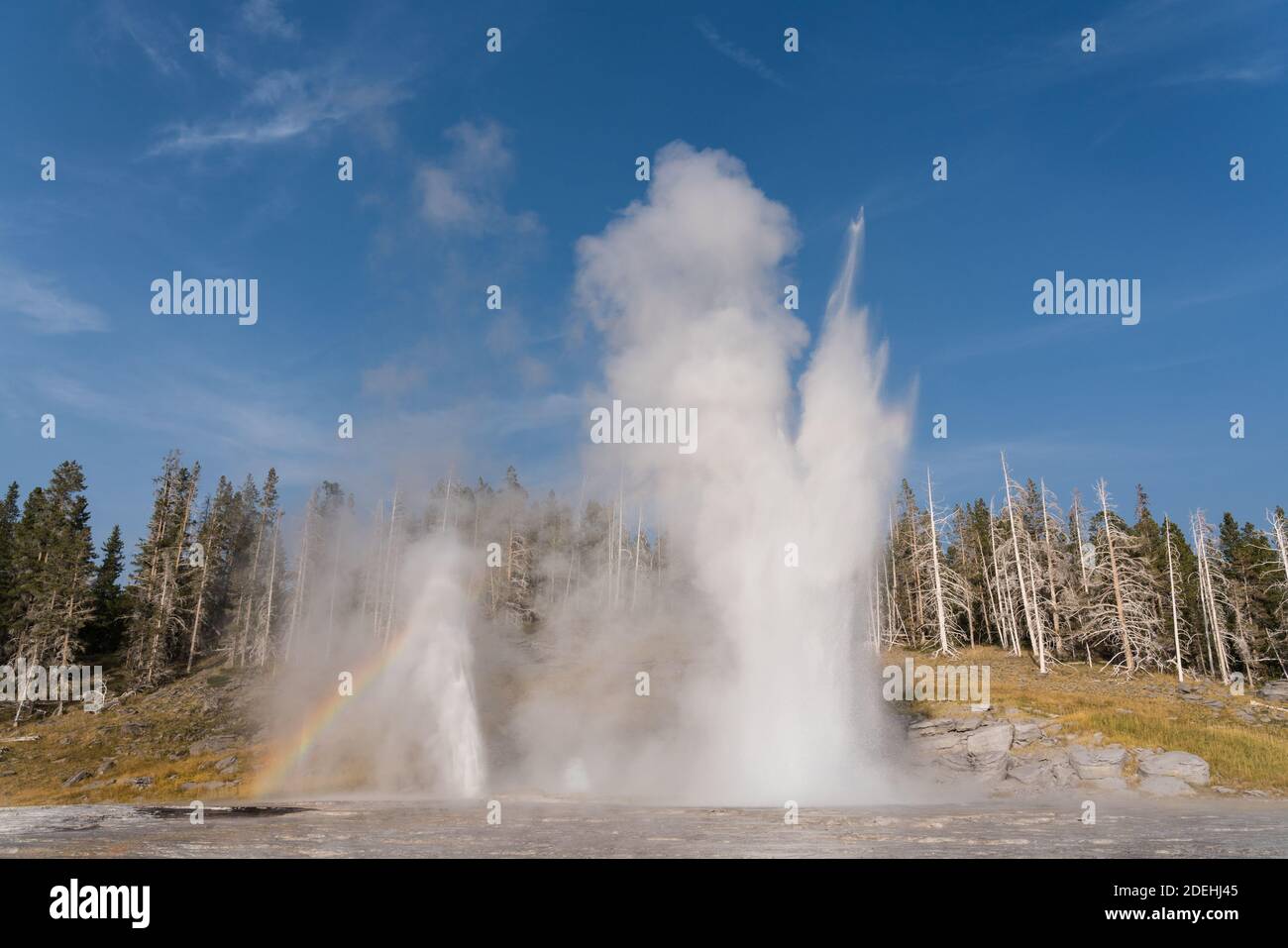 Spring center left hi-res stock photography and images - Alamy