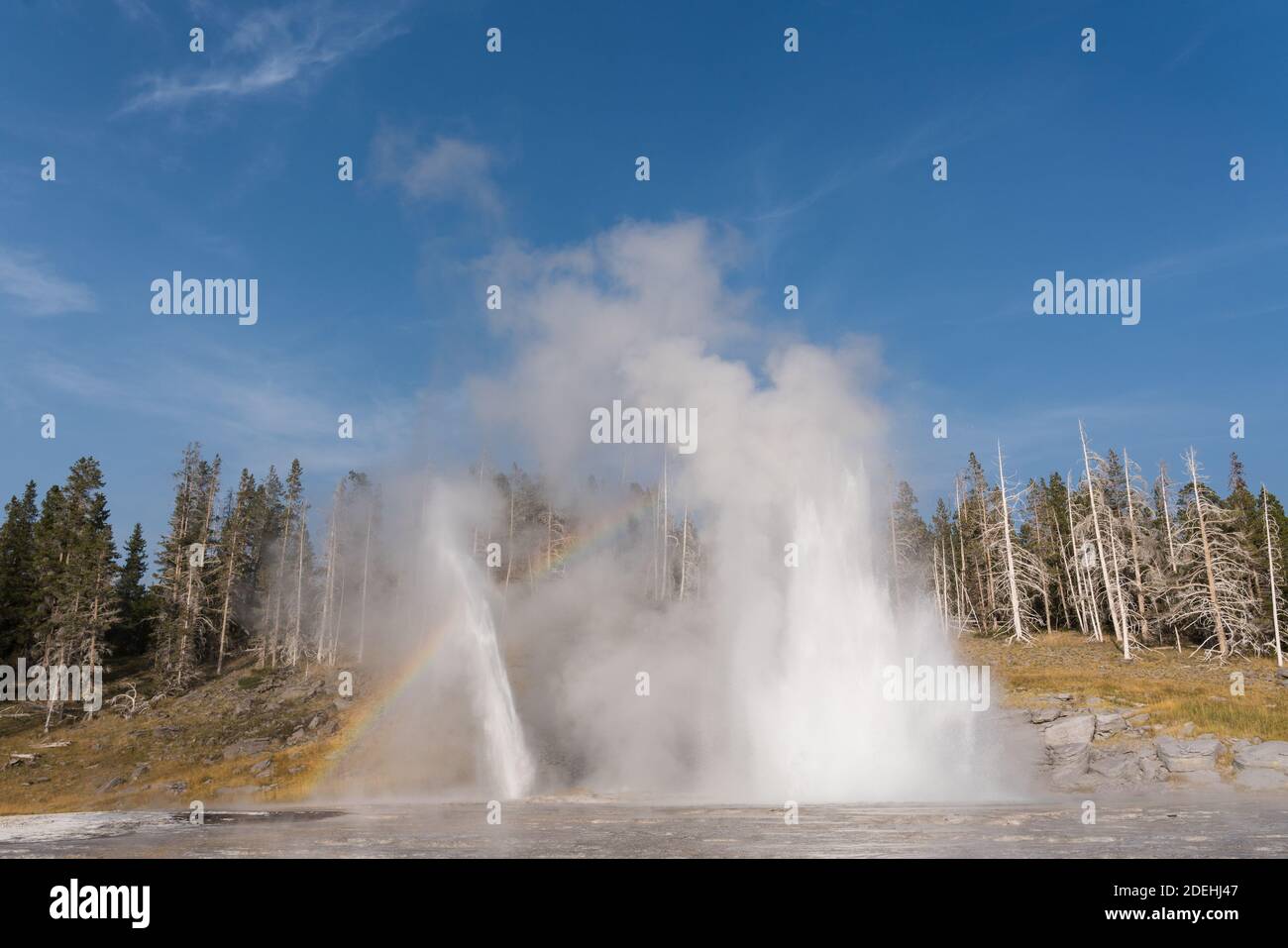 Grand Geyser erupting with Vent Geyser and a rainbow at left in the ...