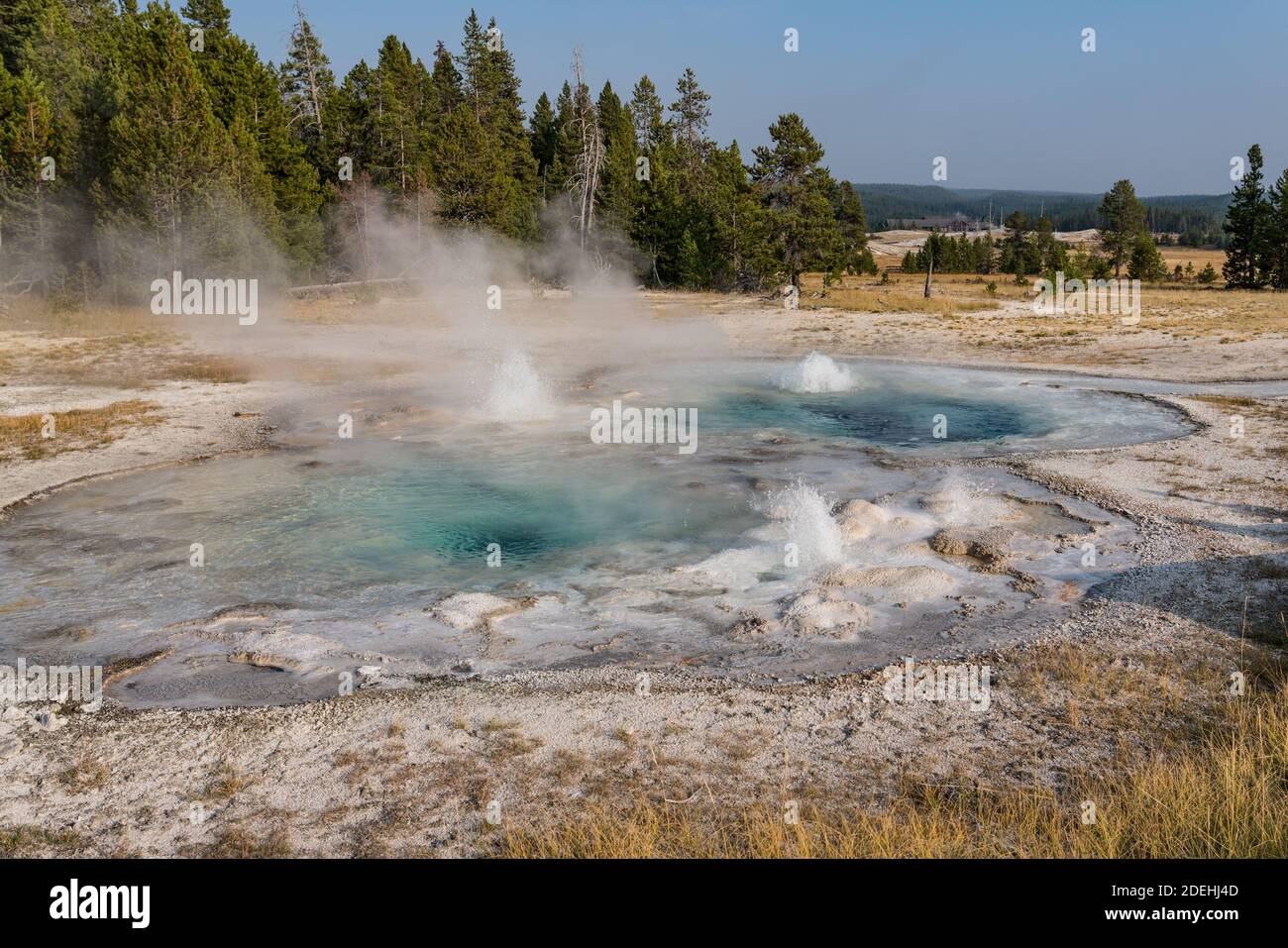Spasmodic Geyser has more than twenty vents that can erupt. Upper ...